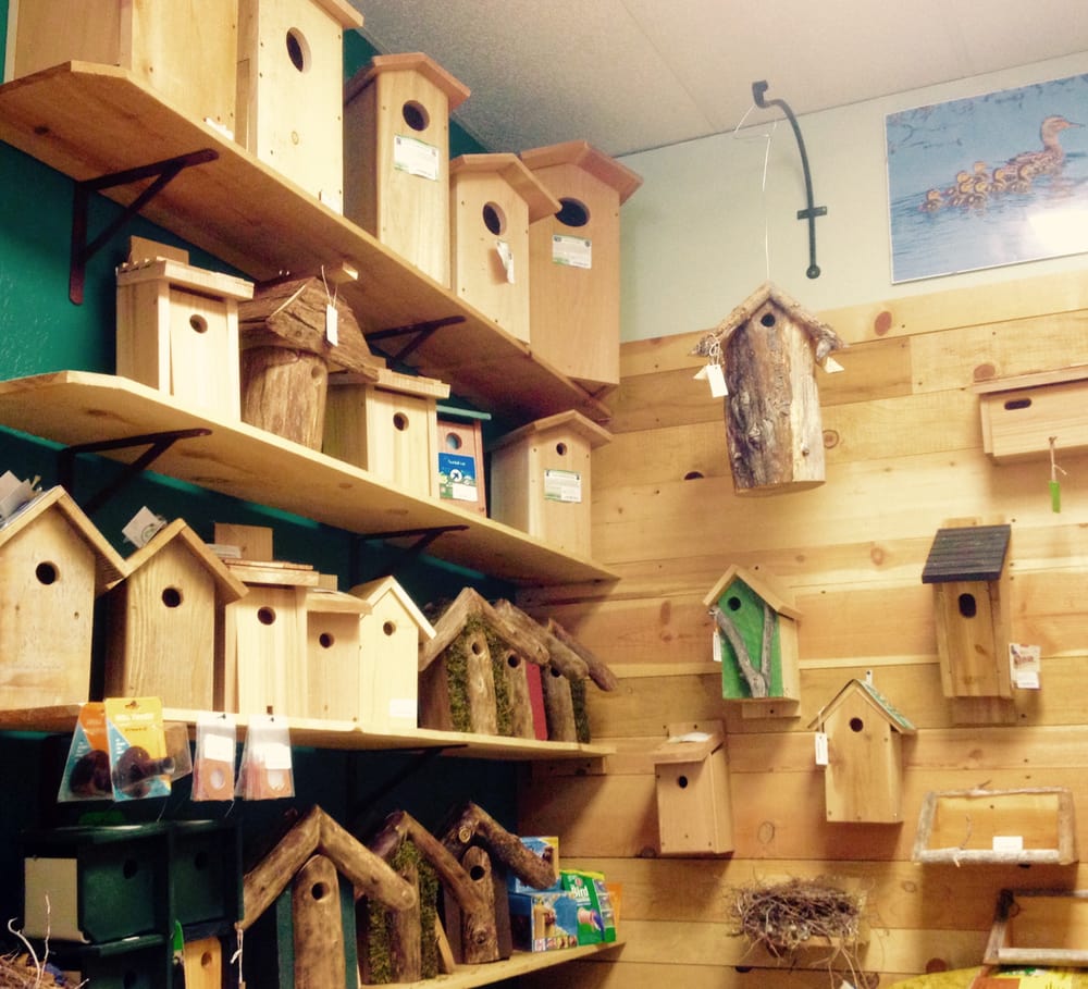 Store Gallery – Raven Tree